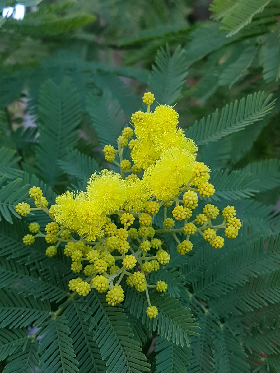 ‘The Thursday Plan’ – GP and Human – Dr. Kathryn Hayman