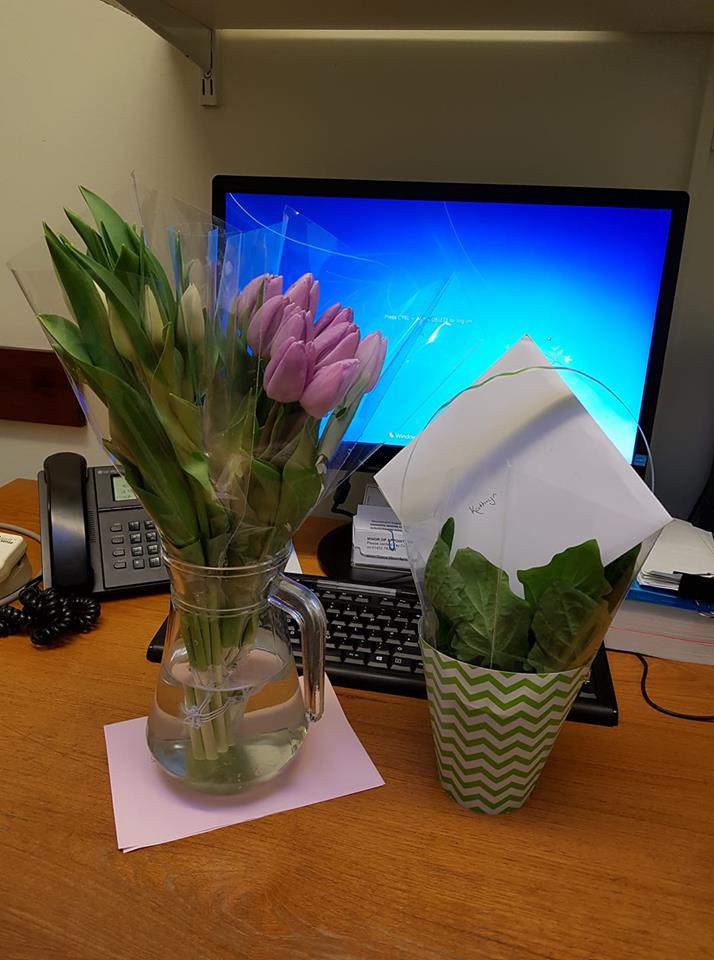 I’m back! – GP and Human – Dr. Kathryn Hayman